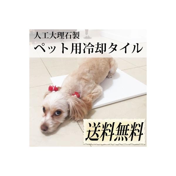 ・サイズ　40cm×30cm×厚さ1.2cm・材　質：アクリル系人工大理石　コーリアン・色　白単色（グレイシアホワイト）　白石目（アンタークティカ）　黒砂目（ディープブラッククォーツ）・商品説明　ワンちゃん、ネコちゃんのお気に入りの場所に置...