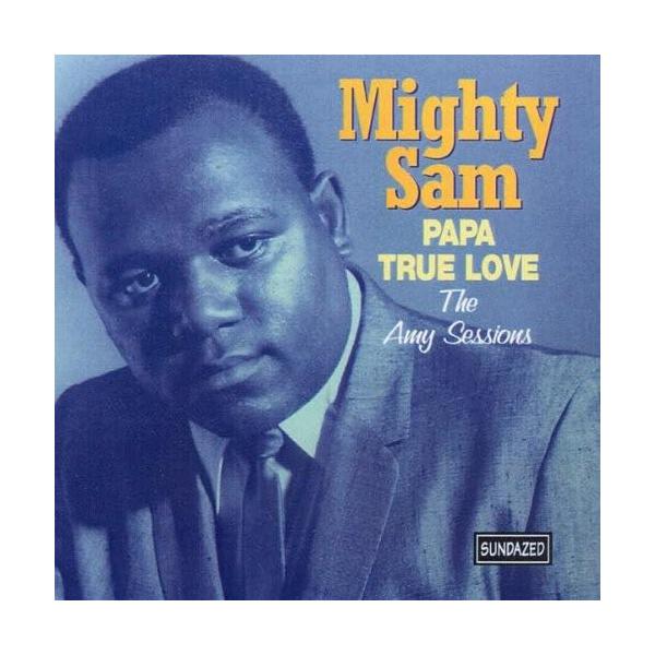 商品名:PapaTrueLoveAmySessions/MightySam/中古CD作者:Mighty Sam一言コメント:◆コンディション「非常に良い」・・・コメント「ケースにややスレ等ありますが、中古品としてはケース、中身ともに比較的良...