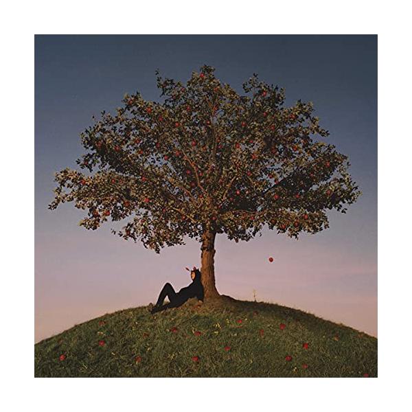 商品名:TYRON/slowthai/中古CD作者:slowthai一言コメント:◆コンディション「可（ワケあり品）」・・・コメント「ケースにスレ、キズ、盤面にも小キズがあります。動作は確認済みですが、訳あり品であることをご理解の上ご注文下...