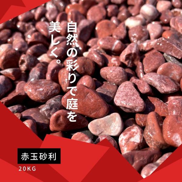 　赤色が際立った玉砂利です。他に類をを見ない鮮やかさがあります★庭園（和風・洋風）のお庭や玄関の周り、アプローチ、坪庭、ベランダ、水槽、神社やお寺、お墓の化粧砂利としてもお勧めします。※サイズ　・2分(約6〜8mm)・3分(約10〜12mm...