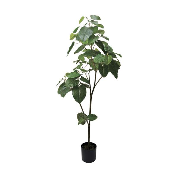 ※メーカー確認後の出荷となります！確認後欠品・廃番等の問題が発生しましたらご連絡いたします！ご了承願います　【別途送料2970円〜】【直送】【別途送料】【個人宅不可】◆特長●世界的にも需要の増えているフェイクグリーンです。●枯れない、水やり...