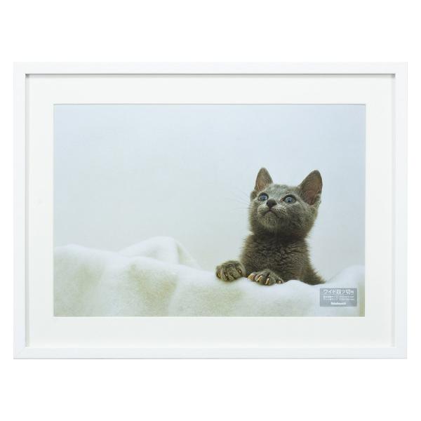 ※メーカー確認後の出荷となります！確認後欠品・廃番等の問題が発生しましたらご連絡いたします！ご了承願います　◆シンプルな写真額。モノトーンスタイルや北欧モダンなど、様々なデザインと相性が良いフレームです。◆シンプルな形状の写真額はリビングに...