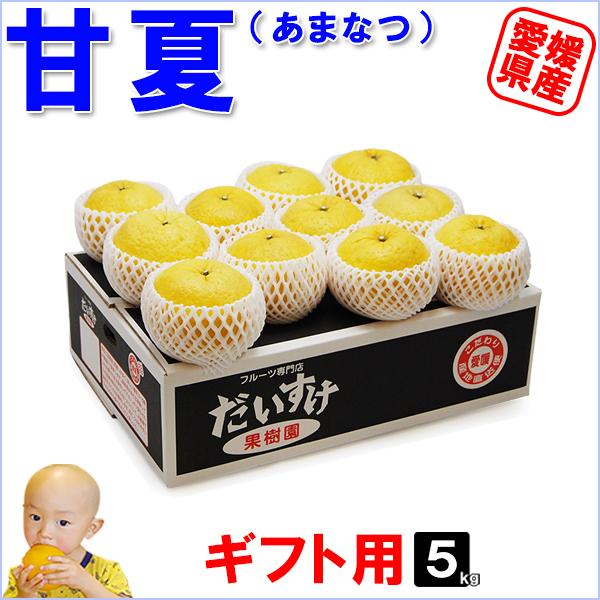 【発売日：2026年04月06日】「甘夏」は、ほろ苦さと甘酸っぱさ、爽やかな風味が特徴的な昔ながらの柑橘です。正式名称は川野夏橙と人間のような名前です。酸味を和らげるために、春先まで木に成らせたり、貯蔵して酸味を抜きます。こちら商品は大玉の...