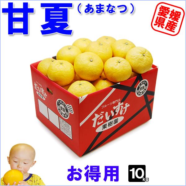 【発売日：2026年04月06日】「甘夏」の甘さは「温州みかん」と同じぐらいあるんですよ。酸味は「甘夏」が勝ります。甘ずっぱさが根強い人気の「甘夏」！皮は厚く包丁で切れ目をいれてお召し上がり下さい。また、じょうのう膜（薄皮）も厚いため、剥い...