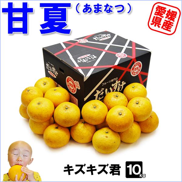 【発売日：2026年04月06日】夏みかんよりも酸味が少ないことから「甘夏」と呼ばれています。果実は大きめで食べごたえがあり！外皮は硬く、ナイフで切り込みを入れ、内袋も剥いて食べます、種もたくさん入っています。歯ごたえのあるみずみずしい果肉...