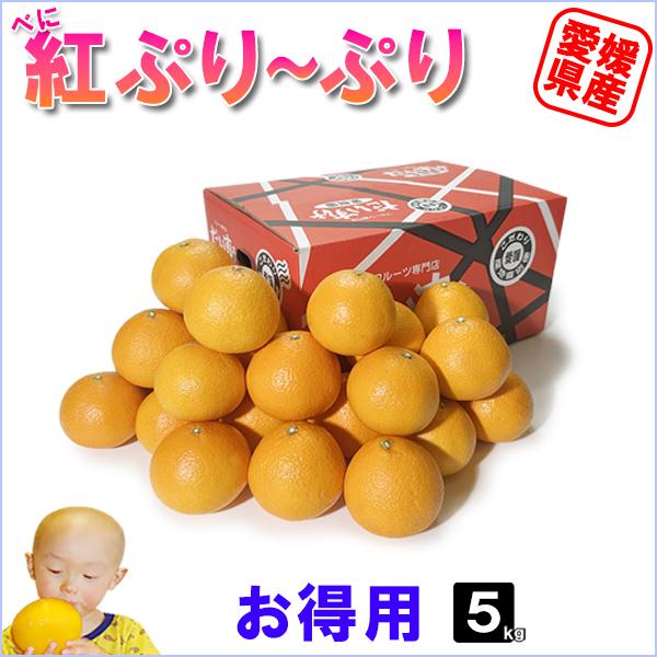 【発売日：2026年02月18日】愛媛県が新しく誕生させた品種で「媛まどんな（愛媛果試28号）」×「甘平」を掛け合わせた究極の柑橘！愛媛県のみで生産されている希少柑橘になります。