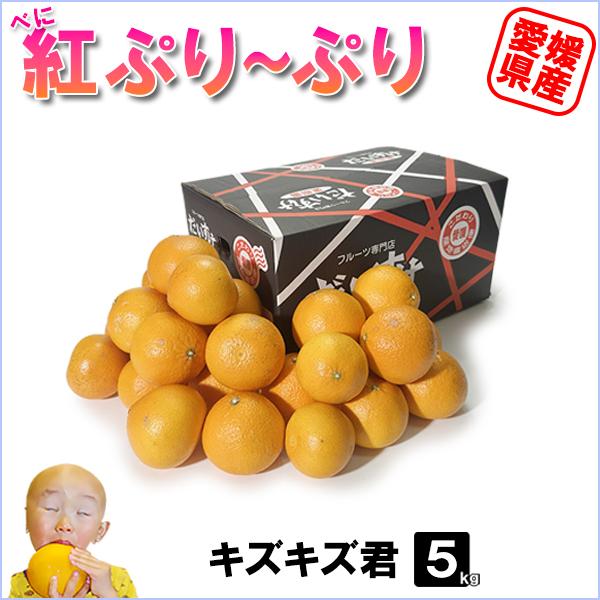 【発売日：2026年02月18日】濃厚な甘さと爽やかな香りをあわせ持つ近年注目の高級柑橘！ジューシーでとろくるような果肉が特長です。まるでデザートもような満足感を楽しめます。