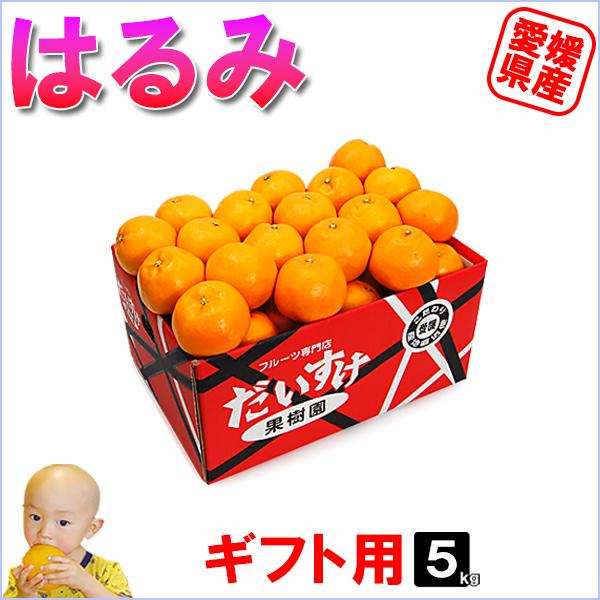 【発売日：2026年02月14日】外皮も内皮も薄く剥きやすいことから、大切な方への贈り物としては喜ばれる、最適な柑橘とも言えます。 一つ一つ厳選して手詰めでお届けいたします。