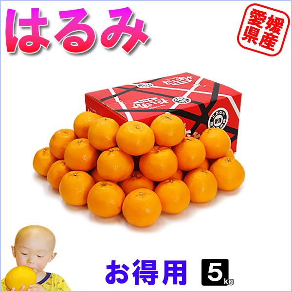 【発売日：2026年02月14日】皮が薄いため、みかんのように剥きやすく、どんどん食べてしまいます。お得なサイズとお値段で、家族みんなが笑顔になる、魔法の柑橘。ギフト用よりは少し小さくなりますがちょっとしたお届け物にも喜ばれている商品です。