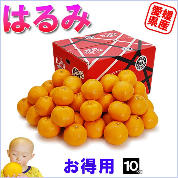 【発売日：2026年02月14日】すっきり爽やかな甘みで、とってもジューシーなのが特徴です。春を予見させる味と香りから「はるみ」と命名されました。ほっぺもおちそうな、今しか味わえない贅沢な味覚と食感を是非沢山お楽しみください！