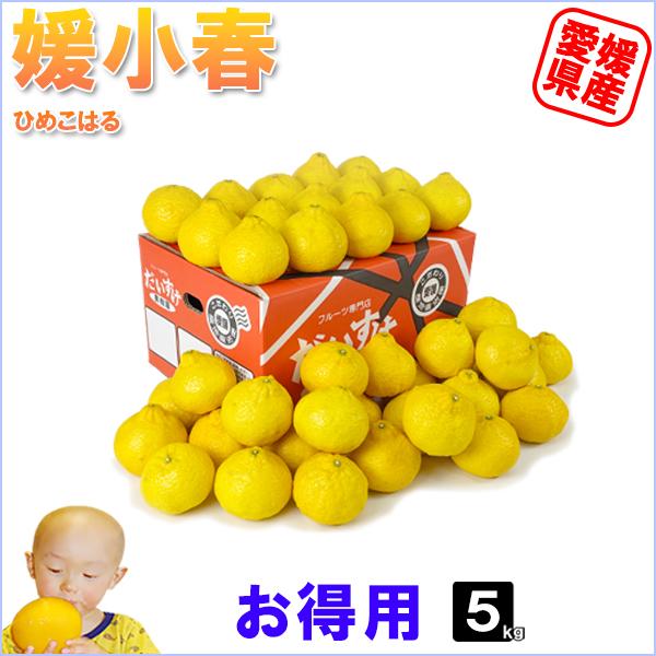 【発売日：2026年02月13日】愛媛県が開発・育成した品種で「媛まどんな（愛媛果試28号）」・「甘平」と共に「愛媛新柑橘3兄弟」として、愛媛県のみで生産されている希少柑橘になります。