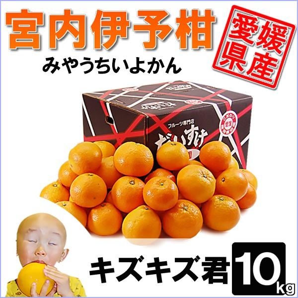 【発売日：2026年01月15日】愛媛の名を背負った「いよかん」甘さと酸味のバランスが絶妙で本場愛媛の柑橘代表として人気があります。ご家庭など皆さんで召し上がっていただくのにぴったりの量とお手頃なお値段！冬のこたつのお供に、愛媛の太陽を元気...