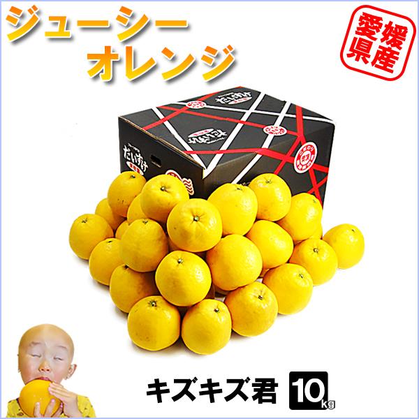 【発売日：2026年04月21日】多少の傷はありますが美味しさはギフトと変わりません。ご家庭で召し上がるのに最適です。ボリュームたっぷりの人気シリーズキズキズ君です。初夏にピッタリの美味しさをどうぞ！