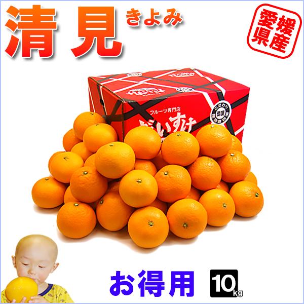 【発売日：2026年03月21日】実の皮（じょうのう）は薄く、果汁も多く、糖と酸のバランスも良く、オレンジの爽やかな香りがします。そのバランスの良い美味しさから、柑橘の中でも、大人気商品になります。大満足な量でご家庭で食べられるのに最適です...