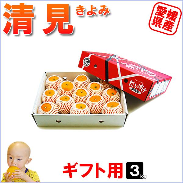 【発売日：2026年03月21日】オレンジの香りと上品な味のバランスが魅力です。ひとつひとつ丁寧にキャップをかぶせ、美しく手詰めいたします。贈答用に粒ぞろいの一級品。贈答用として喜ばれる柑橘とも言えます。