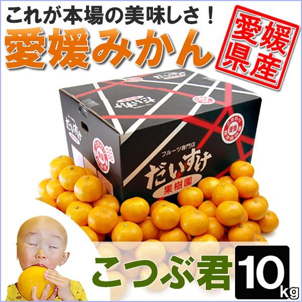 【発売日：2025年11月14日】小さいサイズは、じつはとっても人気なんです！お得で、しかもたっぷり食べたい方におすすめの10ｋｇ。飽きのこない美味しさで甘味と酸味のバランスが最高です。沢山食べて元気になっちゃいましょう！