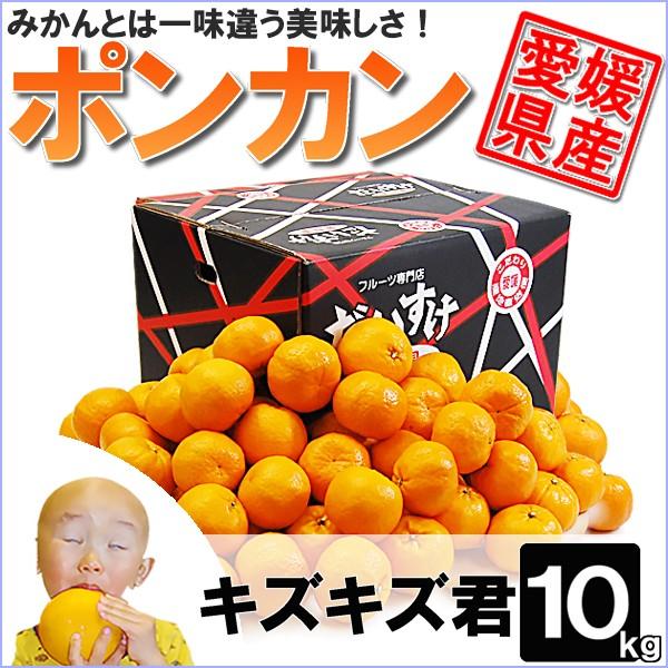 【発売日：2026年01月15日】蜜柑とは一味違う美味しさ！剥き易くて食べやすい！外観にあるキズは自然の中で大きくなった証の勲章。しっかり大地に根を張り雨の日も風の日も頑張って育ったからです。外皮には傷があっても、中身の味は劣りません。まさ...