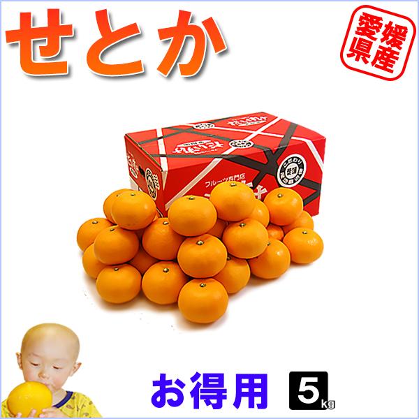 【発売日：2026年02月23日】まさに柑橘の中の「ダイヤモンド」といっても言い過ぎではないでしょう。ずっしりと重量感のある玉は見た目も、中身も最高級感を楽しませてくれます。柔らかく、程よい歯応え、口の中で、とろける食感もたまりません。 ギ...