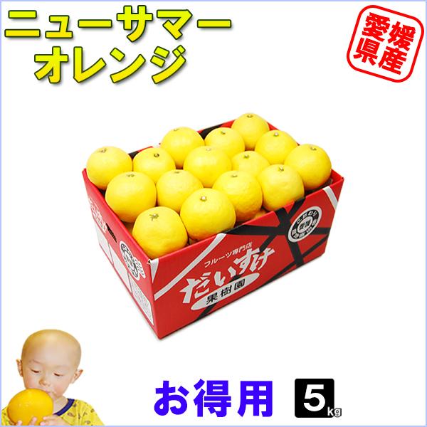 【発売日：2026年04月23日】上皮の内側の白い部分に苦みや渋みがなく、果肉は酸味があり甘さが控えめで独特の風味が強い柑橘です。 グレープフルーツやレモンに近い味わいで、酸味とのバランスを気になされる方には、おススメな柑橘です。
