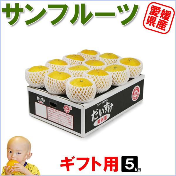 【発売日：2026年04月09日】「サンフルーツ」の名前の由来は、愛媛の太陽をいっぱいに浴びて育った柑橘「太陽の柑橘」です。春から初夏にかけて、爽やかな酸味と優しい甘味との調和が、この時季にはピッタリですね！こちら商品は大玉の厳選した「甘夏...