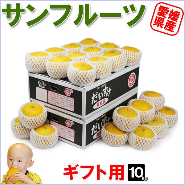 【発売日：2026年04月09日】初夏の訪れとともに「サンフルーツ」の出荷が始まります。爽やかな酸味と、優しい甘さが、特徴の柑橘です。近年、新しい柑橘の登場で生産量が減ってきていますが、愛媛ではまだまだ元気に栽培しています。こちらの商品は食...