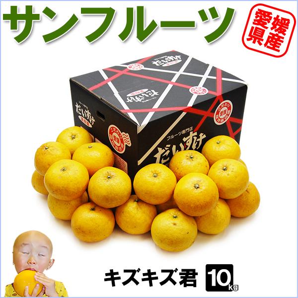 【発売日：2026年04月09日】外観には風キズ、すりキズがございますが、新鮮で美味しいい、愛媛だいすけ果樹園からの「サンフルーツ】 キズキズ君 10kg。甘くてジューシーな果肉がたっぷり詰まった、旨み満載のフルーツ。ボリューム満点のとって...