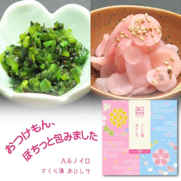 【発売日：2022年10月01日】さくら漬 あじしそ ■【つけもの】京のおみや京都のお漬物　ぽちっと包みましたお礼・お土産・粗品などに最適な美味しいお手軽ギフトです。■ 京の町家のお漬物　■　創業慶応元年 千枚漬本家 大藤粗品 ミニギフト ...