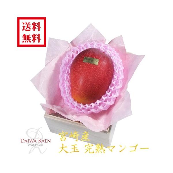 キーワード：送料無料 母の日 宮崎 マンゴー アップルマンゴー 大玉 高級 フルーツ ギフト 果物 化粧箱 木箱 プレゼント 御中元 内祝 御祝 御供 御礼・産地：宮崎県産・内容量：約500ｇ・保存方法：冷蔵保管し、なるべくお早めにお召し上...