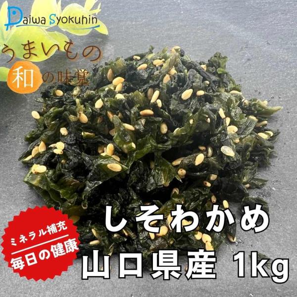 山口県下関市の食品メーカーから直送対応！山口県海域の大自然で育ったミネラルたっぷりのわかめ使用。職人が厳選した肉厚わかめを最適な味になるよう磨き上げました。厳選した山口県産おむすびわかめの一品を皆様にお届け。郷土料理でもある刻みわかめの美味...