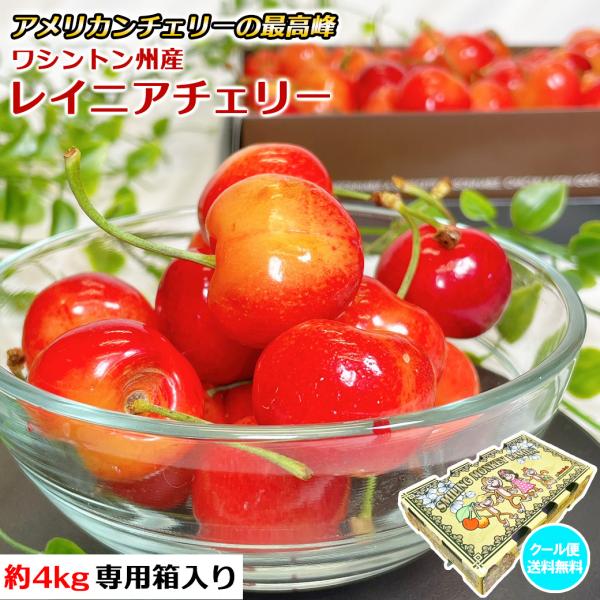 【発売日：2026年06月20日】商品説明名称：アメリカンチェリー　ワシントン州産　アメリカンチェリー　レイニア種内容量：ボリュームたっぷり　専用箱入り　約4kg賞味期限：商品到着後なるべくお早めにお召し上がりください販売者：大和屋旬果庵