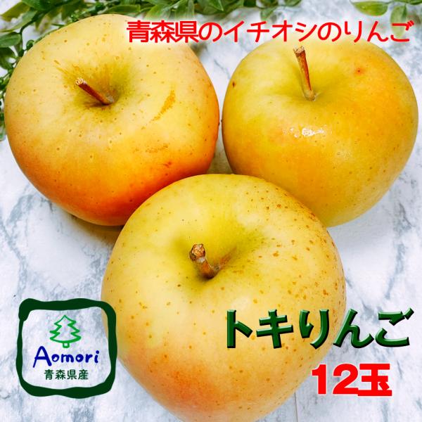 【発売日：2025年09月15日】青森県産のトキりんごは、王林とふじを交配して生まれた品種です。黄色い皮にほんのり赤みが差し、甘みが強くてジューシー！シャキシャキとした食感が楽しめます。【商品情報】品種：トキりんご産地：青森県産サイズ：訳あ...