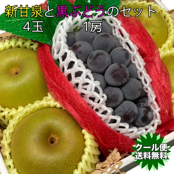 商品名：新甘泉梨と黒ぶどうのセット商品内容：新甘泉梨 中〜小玉 4個（鳥取県産）黒ぶどう　350g以上　1房（山梨県産・岡山県産）※ぶどうの産地は時期により変わる場合があります賞味期限：商品到着後、なるべく早めにお召し上がりください販売者：...