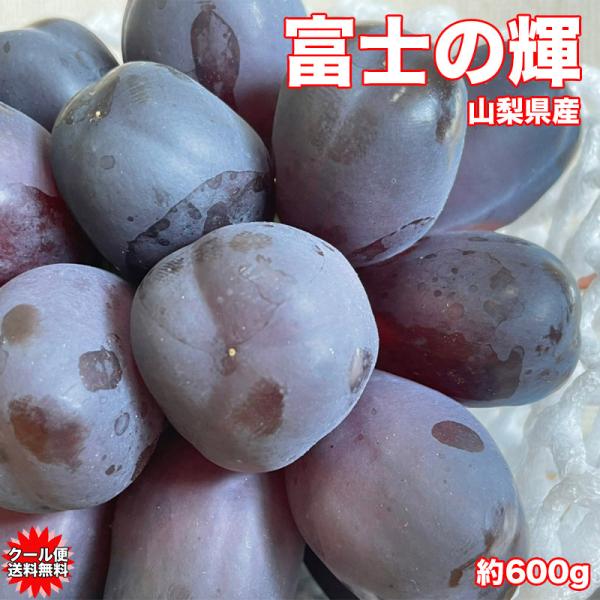 【発売日：2026年08月20日】山梨県産の「富士の輝き」は、志村葡萄研究所で生まれたぶどうです！ぶどうの品種改良は大変難しく、黒いシャインマスカットが誕生したのは大変珍しく、まさに奇跡。甘さがたっぷり詰まっていて、一粒一粒が大きくてジュー...