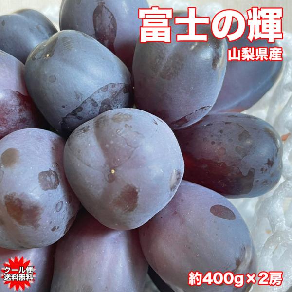 【発売日：2026年08月20日】山梨県産の「富士の輝き」は、志村葡萄研究所で生まれたぶどうです！ぶどうの品種改良は大変難しく、黒いシャインマスカットが誕生したのは大変珍しく、まさに奇跡。甘さがたっぷり詰まっていて、一粒一粒が大きくてジュー...