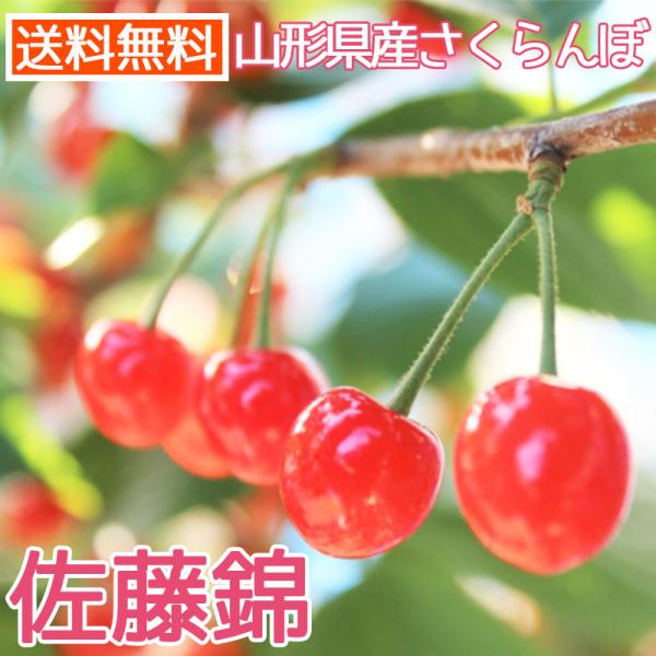 【発売日：2026年06月15日】山形県を代表する初夏の味覚「佐藤錦」。宝石のように艶やかで、ひと粒頬ばれば上品な甘さとほどよい酸味が広がる、まさに“さくらんぼの王様”と呼ばれる逸品です。昼夜の寒暖差が大きい山形県で育つことで、果肉は締まり...