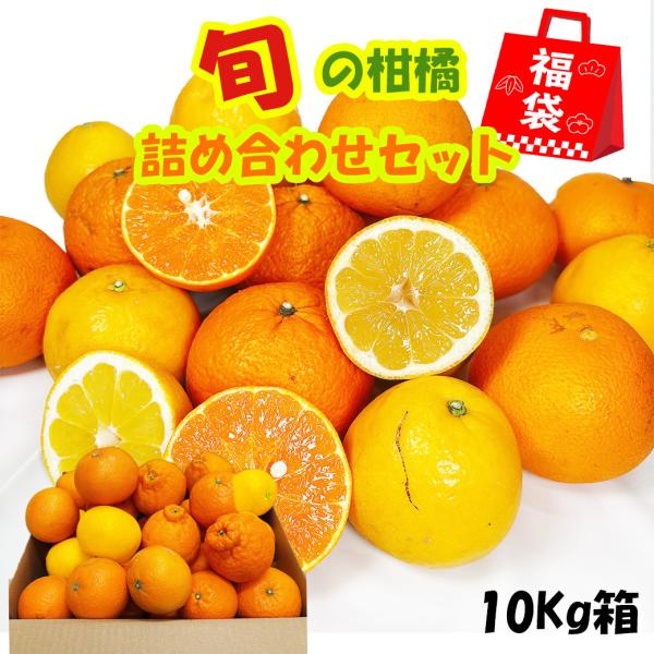 3種類の柑橘類を食べ比べできるお得なセットです。味わいはそのままですが、見た目が悪い訳ありです。産地や種類はおまかせで、柑橘好きにはたまらない食べ比べセットです。内容量：約10Kg前後賞味期限：お早めにお召し上がりください。みかん/ポンカン...