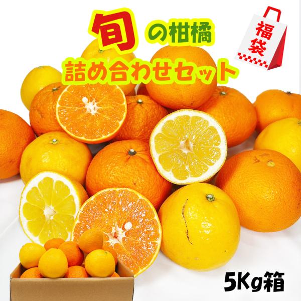 3種類の柑橘類を食べ比べできるお得なセットです。味わいはそのままですが、見た目が悪い訳ありです。産地や種類はおまかせで、柑橘好きにはたまらない食べ比べセットです。内容量：約5Kg前後賞味期限：お早めにお召し上がりください。