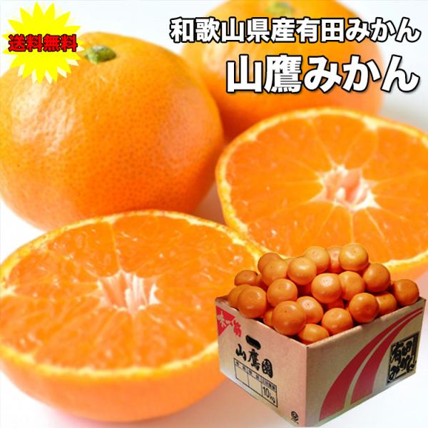 【発売日：2026年11月25日】商品名：有田みかん（山鷹園のみかん）産地：和歌山県内容量：Mサイズ 約10Kg賞味期限：商品到着後なるべく早めにお召し上がりください販売者：大和屋旬果庵