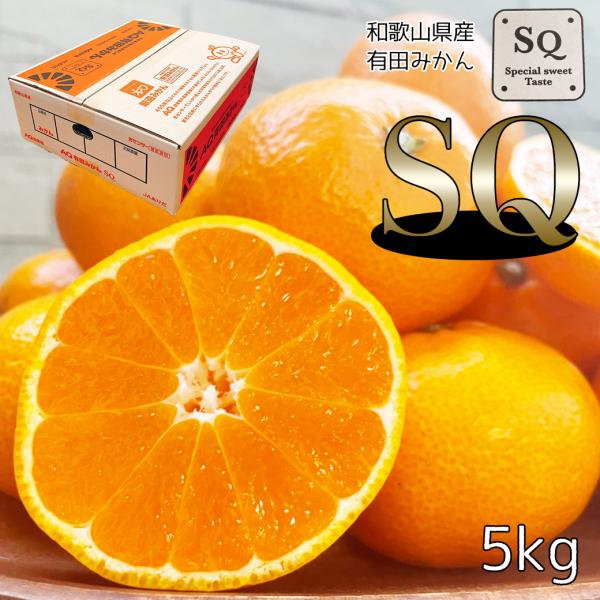 【発売日：2026年11月20日】和歌山県産の有田SQみかんは、特別な甘さを誇るエリートみかんです。光糖度センサーで厳選された果実のみをお届けします。SQクラスの有田みかんは、糖度12度以上と、甘さと風味が際立ち、贅沢な味わいを楽しめます。...