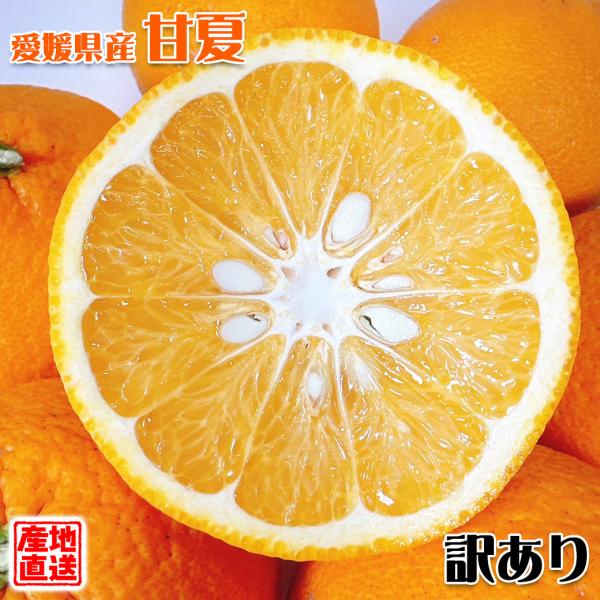 【発売日：2026年02月15日】商品名：産地直送の甘夏 訳あり産地：愛媛県内容量：5Kg賞味期限：商品到着後なるべく早めにお召し上がりください。販売者：大和屋旬果庵爆買