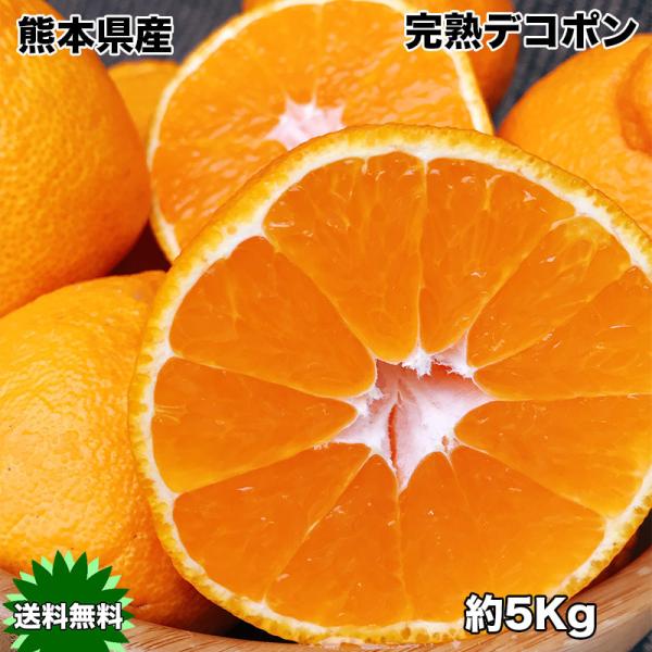 【発売日：2026年05月10日】熊本県産の完熟デコポンが登場です！このデコポンは、極めて稀な品種で、甘さが自慢。光糖度センサーで厳しく検査され、糖度が保証されています。家庭用として、多少の傷はありますが、その分お得に楽しめます。免疫力強化...
