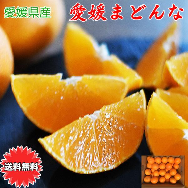【発売日：2026年12月10日】商品名：愛媛まどんな あいか産地：愛媛県内容量：2Lサイズ　2.5Kg賞味期限：商品到着後なるべく早めにお召し上がりください販売者：大和屋旬果庵