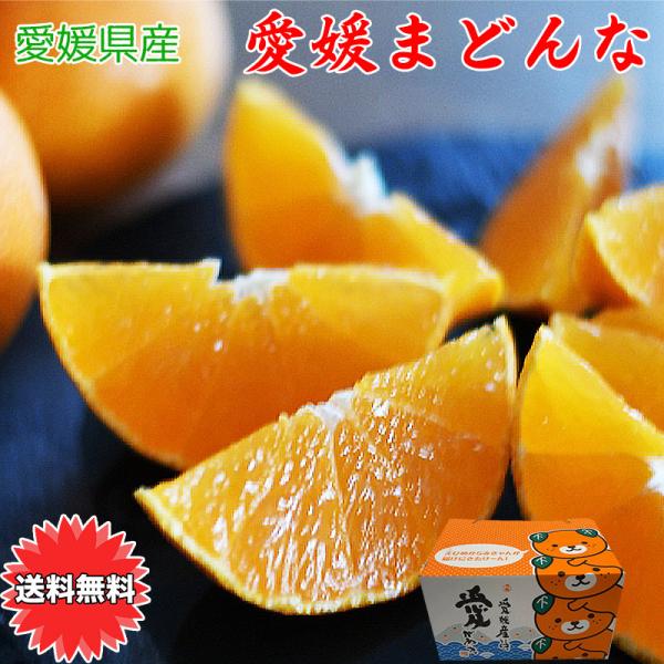 【発売日：2026年12月10日】愛媛まどんなは、愛媛県が10年もの歳月をかけて開発した高級ブランド柑橘で、「愛果28号」として知られる特別な品種です。その果肉はゼリーのようにぷるぷると柔らかく、ひと口食べるとたっぷりの果汁が口いっぱいに広...