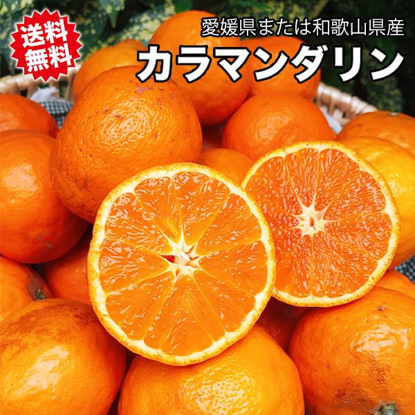 【発売日：2026年04月05日】商品名：カラマンダリン（春みかん）産地：愛媛県 和歌山県内容量：3Lサイズ　約5Kg賞味期限：商品到着後、お早めにお召し上がりください。販売者：大和屋　旬果庵爆買