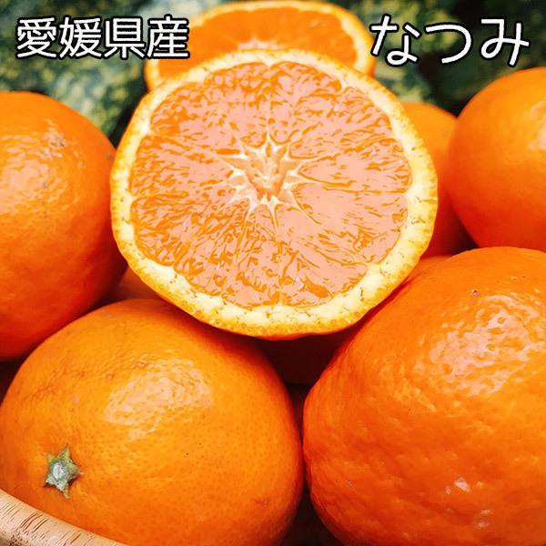 【発売日：2026年04月05日】商品名：なつみみかん（秀品）産地：愛媛県内容量：Lサイズ　24玉入賞味期限：商品到着後お早めにお召し上がりください販売者：大和屋　旬果庵 なつみ 柑橘類 柑橘 フルーツ 愛媛果物 爆買