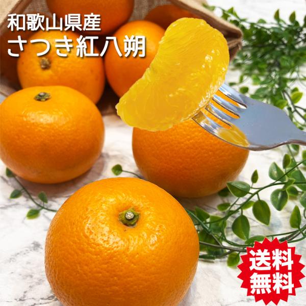 商品名：さつき紅八朔　秀品産地：和歌山県内容量：2Lサイズ　5Kg賞味期限：商品到着後なるべく早めにお召し上がりください販売者：大和屋旬果庵爆買