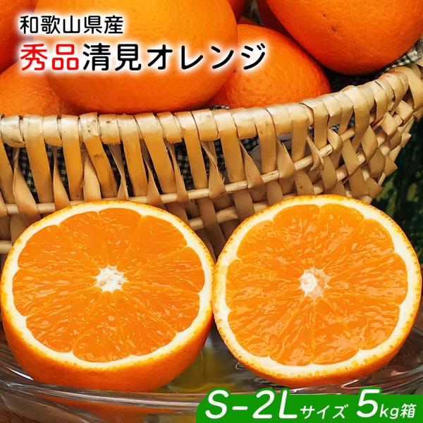温州みかんのように柔らかい肉質と、オレンジのようなさわやかな香りと果汁が特徴です。「木成り栽培」によって樹上でじっくりと完熟させたので、酸味が苦手な方や、果汁たっぷりの甘いみかんが好きな方に特におすすめ。木成り栽培により、オレンジ本来の甘み...