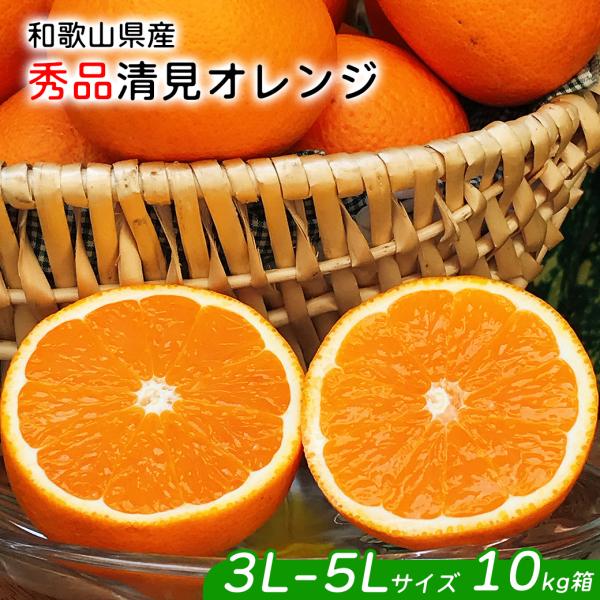 温州みかんのように柔らかい肉質と、オレンジのようなさわやかな香りと果汁が特徴です。「木成り栽培」によって樹上でじっくりと完熟させたので、酸味が苦手な方や、果汁たっぷりの甘いみかんが好きな方に特におすすめ。木成り栽培により、オレンジ本来の甘み...