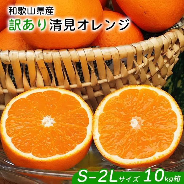 温州みかんのように柔らかい肉質と、オレンジのようなさわやかな香りと果汁が特徴です。「木成り栽培」によって樹上でじっくりと完熟させたので、酸味が苦手な方や、果汁たっぷりの甘いみかんが好きな方に特におすすめ。木成り栽培により、オレンジ本来の甘み...