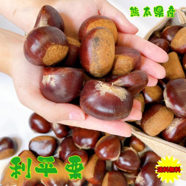商品名：利平栗産地：熊本県内容量：2Lサイズ　約1Kg賞味期限：商品到着後なるべくお早めにお召し上がりください。販売者：大和屋　旬果庵